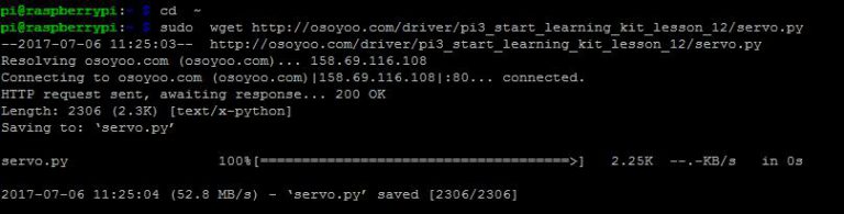 Raspberry Pi Starter Kit: SG90 servo « osoyoo.com
